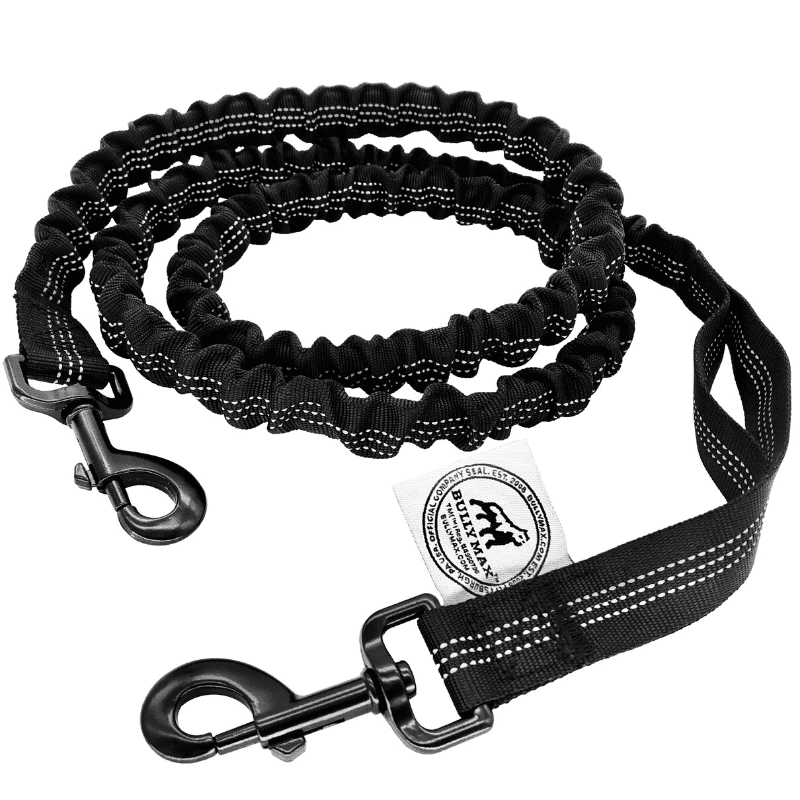 Bully Max Indestructible Dog Ball for Power Chewers - Your Essentials